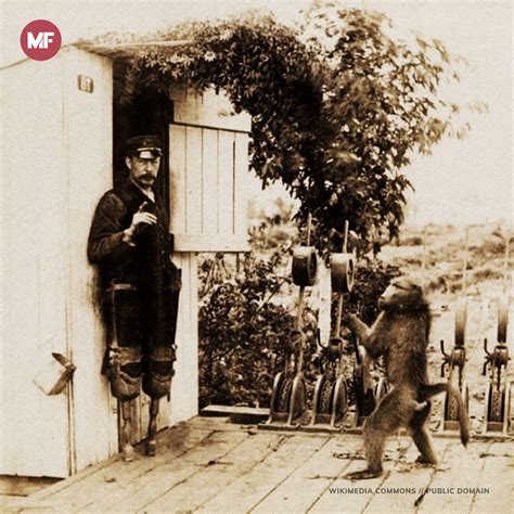 Mental Floss Meet Signalman Jack The Baboon Who Worked For The