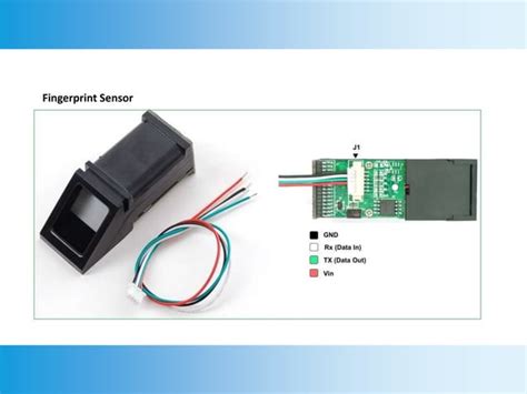 Fingerprint Voting System Pptx Computer Peripherals Computing