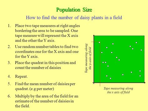 Ecological Investigations 1 Counting Plants Ppt Video Online Download