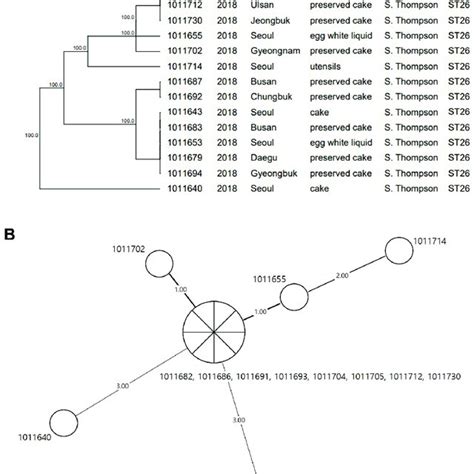 Phylogenetic Tree Of Salmonella Thompson Strains A Wgmlst Results Download Scientific Diagram
