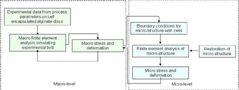 Flow Chart Of The Multilevel Finite Element Analysis Procedure