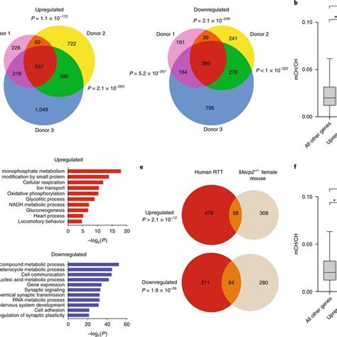 Single Cell Sequencing Of Mecp2 Mice A Graph Clustering T Sne