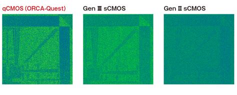Features Qcmos Cameras Hamamatsu Photonics