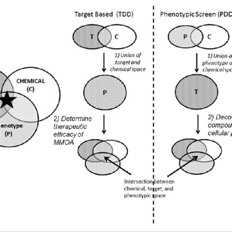 Schematic Diagram Comparing Target Based And Phenotypic Based