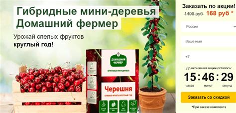 Гибридные мини деревья Fruit Tree Реальные отзывы о