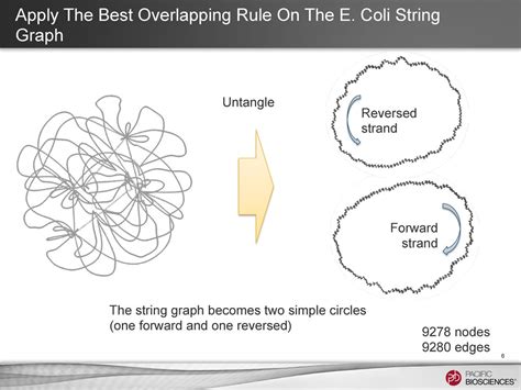 String Graph Assembly For Diploid Genomes With Long Reads Speaker Deck