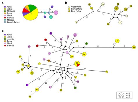 Median Joining Networks Based On Partial Coi Sequences Download