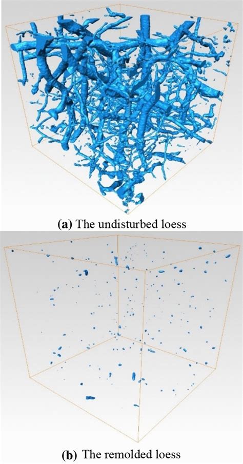 Three Dimensional Diagram Distribution Of Specimen Interception Data Pores Download