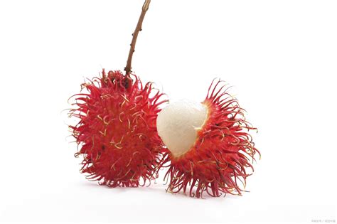 红毛丹的5大作用和禁忌 百科ta说