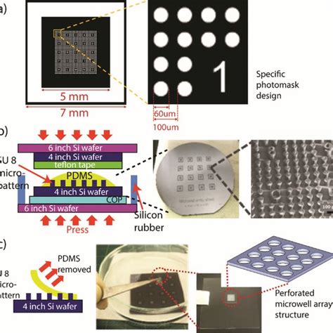 Fabrication Of Microwell Array Mwa Sheet Using Thermal Imprinting Download Scientific Diagram