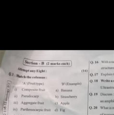 Q3 Match The Columnssection B 2 Marks Eachattempt Any Eightq16 Wi