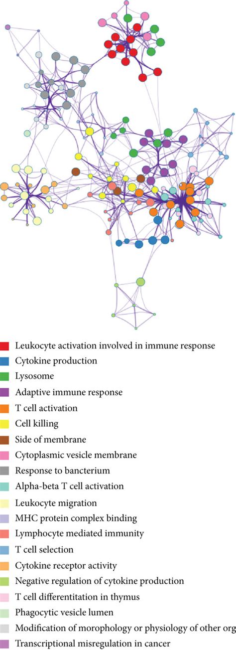 A The Top Of Clustering Results Of Function And Pathway Enrichment Download Scientific