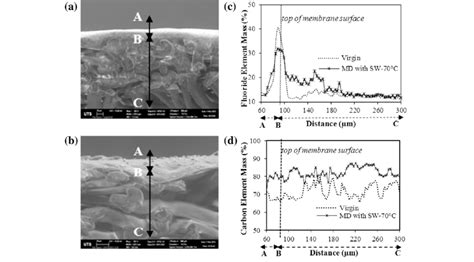 Cross Section Sem Eds Analysis Of A Virgin Membrane Sem Image B