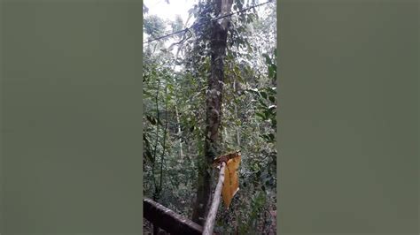 පලතුරු කෙක්ක 🧑‍🌾🧑‍🌾🧑‍🌾🧑‍🌾🧑‍🌾🦊🐱 Youtube