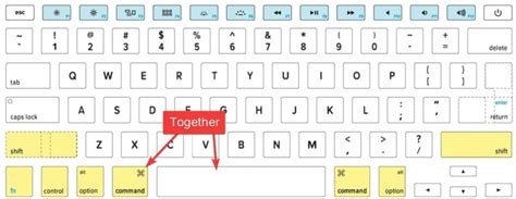 How To Fix Zsh Command Not Found Error On Macos