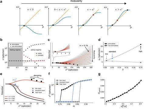 Signal Denoising Through Topographic Modularity Of Neural Circuits Elife
