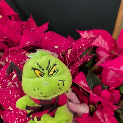 First Class Flowers And Ts Nebraska City Ne