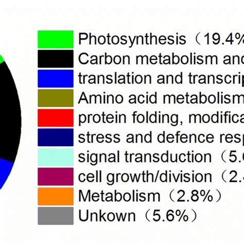 Functional Classification Of The 36 Identified Differentially Expressed