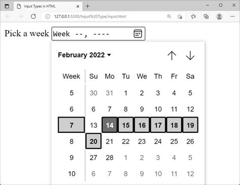 Different Types In Html
