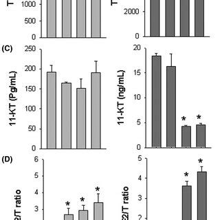Effects Of TDCPP On Plasma Sex Hormone Levels Of Estradiol E A Download Scientific