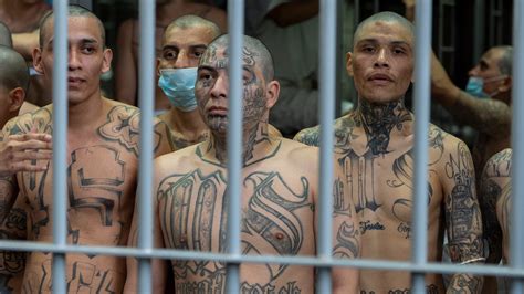 U S Immigration More Alleged Gang Members Deported To El Salvador