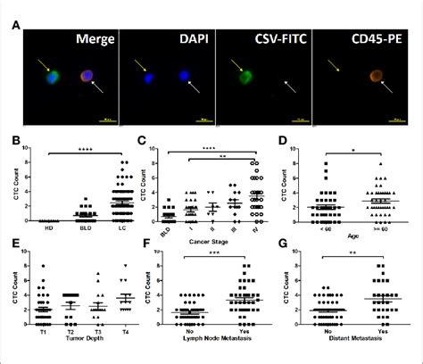 Figure 1 From Evaluation Of Cell Surface Vimentin Positive Circulating