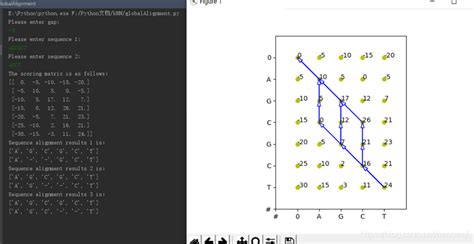 基于python的全局与局部序列比对的实现（dna） 基于python的全局与局部序列比对的实现 dna csdn博客