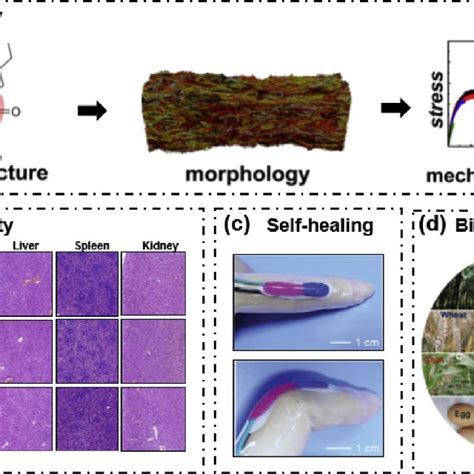 Substrates Or Encapsulation Materials For Flexible Electronics A Download Scientific Diagram