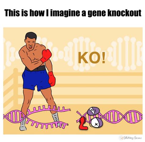 Genscript On Linkedin Cellengineering Celltherapy Crispr