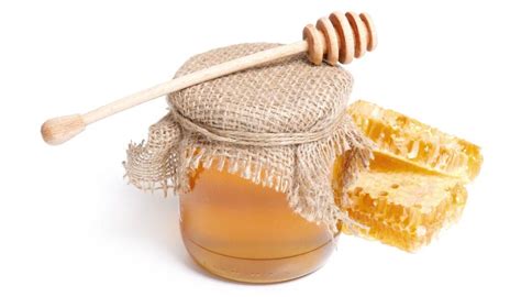 Amoxicillin Alternative Herb Natural Antibiotic Treatment 2026