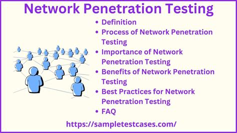what is a network penetration testing