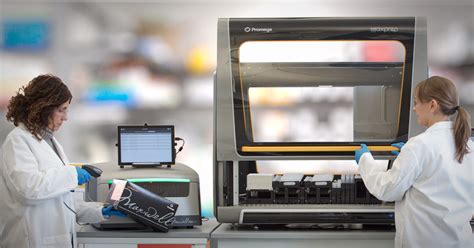 Forensic Sample Workflow Pid Volume 11 Spring 2025