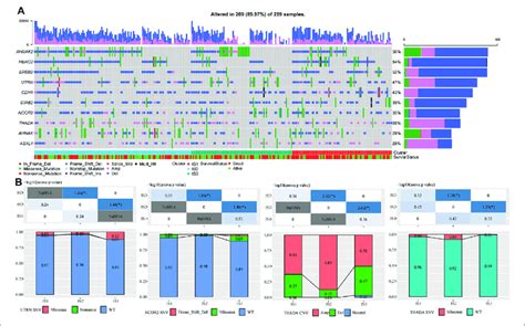 A Mutation Characteristics Of Significantly Mutated Genes In Each Download Scientific
