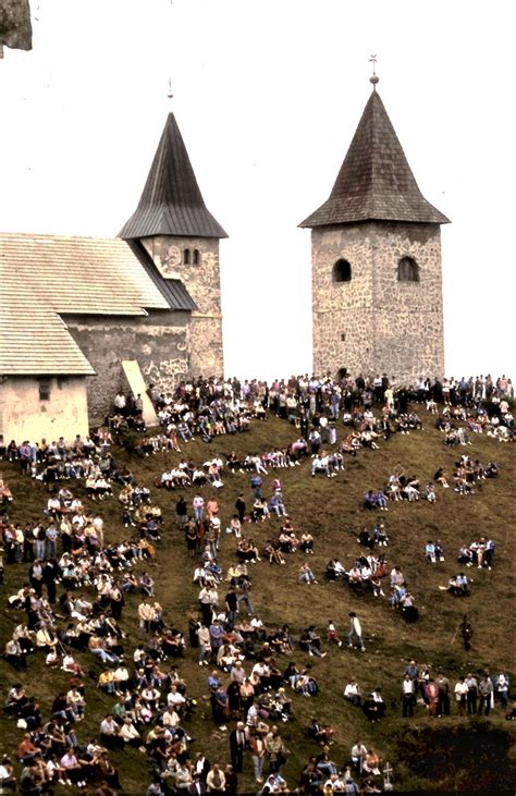 Boris Skalin Doktor Brez Osnovne šole Savus