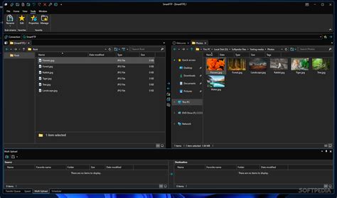 SmartFTP Download Softpedia