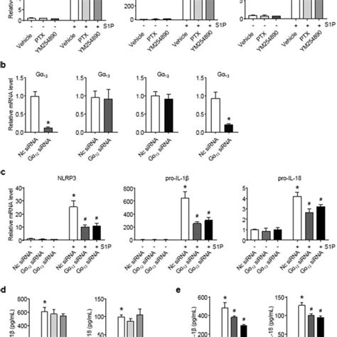 S1pr2 Mediated The Effects Of S1p On Nlrp3 Pro Il 1β And Pro Il 18