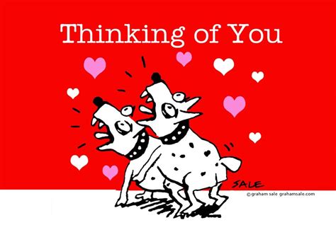 Funny Cat Cartoons Graham Sale Cartoonist Author Illustrator