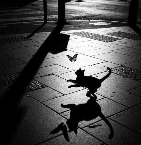 Sabrin Sultana Rabina