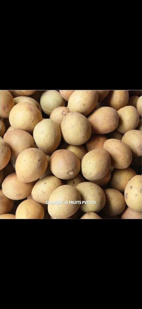 A Grade Fresh Chikoo Fruit Packaging Type Carton Packaging Size 5 Kg At Rs 70 Kg In Navi Mumbai