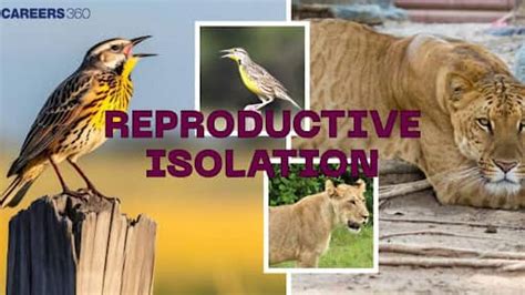 Reproductive Isolation Definition Types Examples And Process