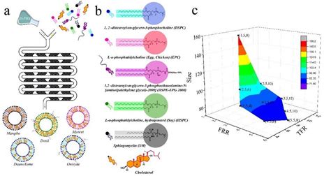Schematic Representation Of Rapid Microfluidic Based Liposome