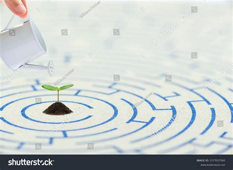2 Sapling Vs Tree Images Stock Photos Vectors Shutterstock