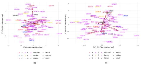 Principal Component Analysis Biplot For 10 Traits And 91 Genotypes
