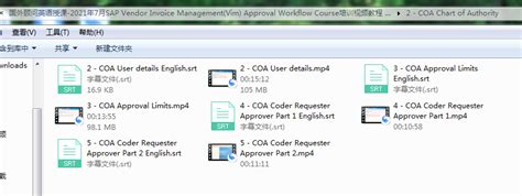 国外顾问英语授课 2021年7月sap Vendor Invoice Managementvim Approval Workflow