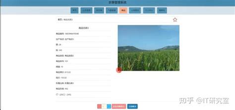Java项目怎么做农事管理系统 Java项目实战 知乎