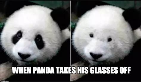 Display Customizations For Pandas Power Users By Roman Orac Towards