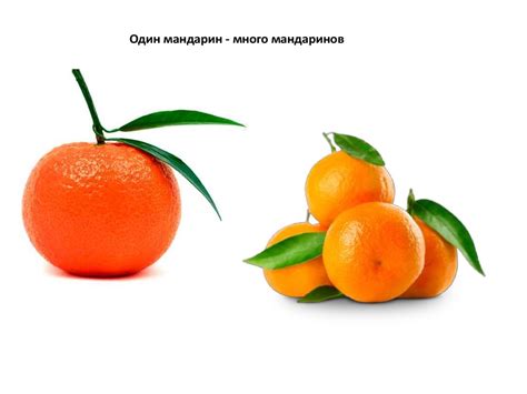 Игра «Один-много» фрукты, овощи - online presentation