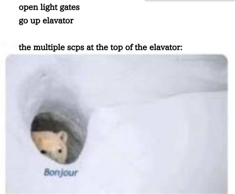 Posting Scp Secret Lab Memes Until Theres A Optimisation Update Day 47 R Scpsecretlab