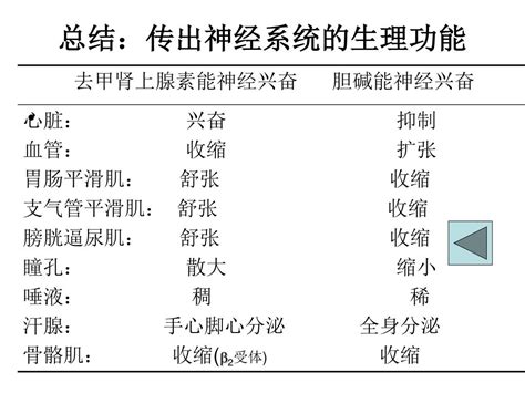 ppt 第五章 传出神经系统 药理概论 一、传出神经系统的解剖与生理 二、传出神经的递质 三、传出神经的受体与效应 四、传出神经系统药物的