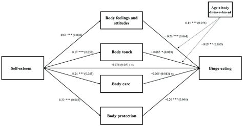males model standardized path analysis coefficients and standard